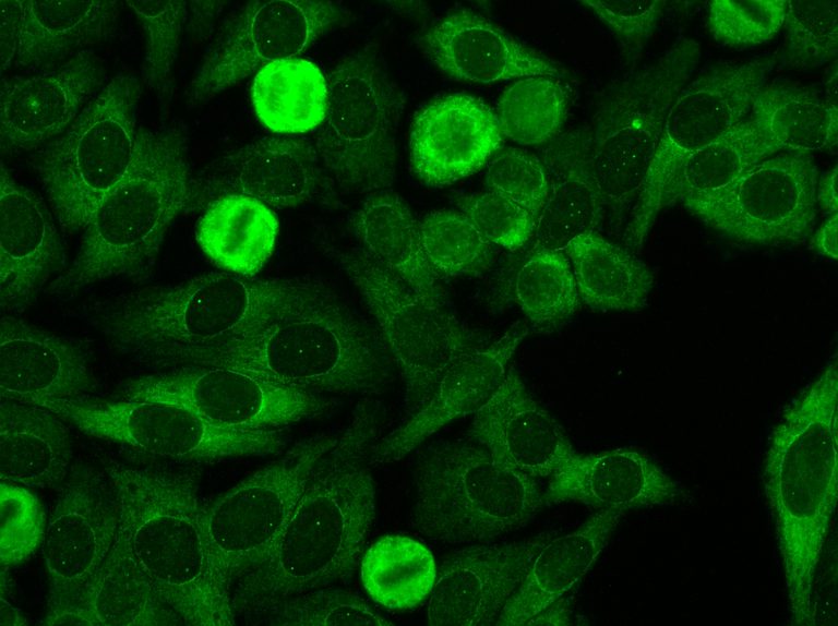 Manual kits - MedipanMedipan