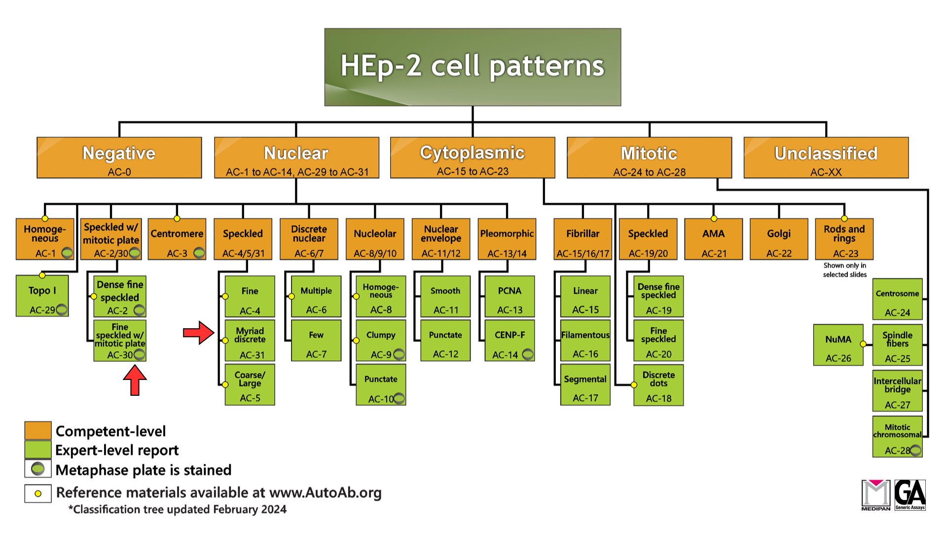 ICAP-Update: Erweiterung der ANA-Musterklassifikation mit AC-30 und AC-31 - Medipan & GA Generic ...